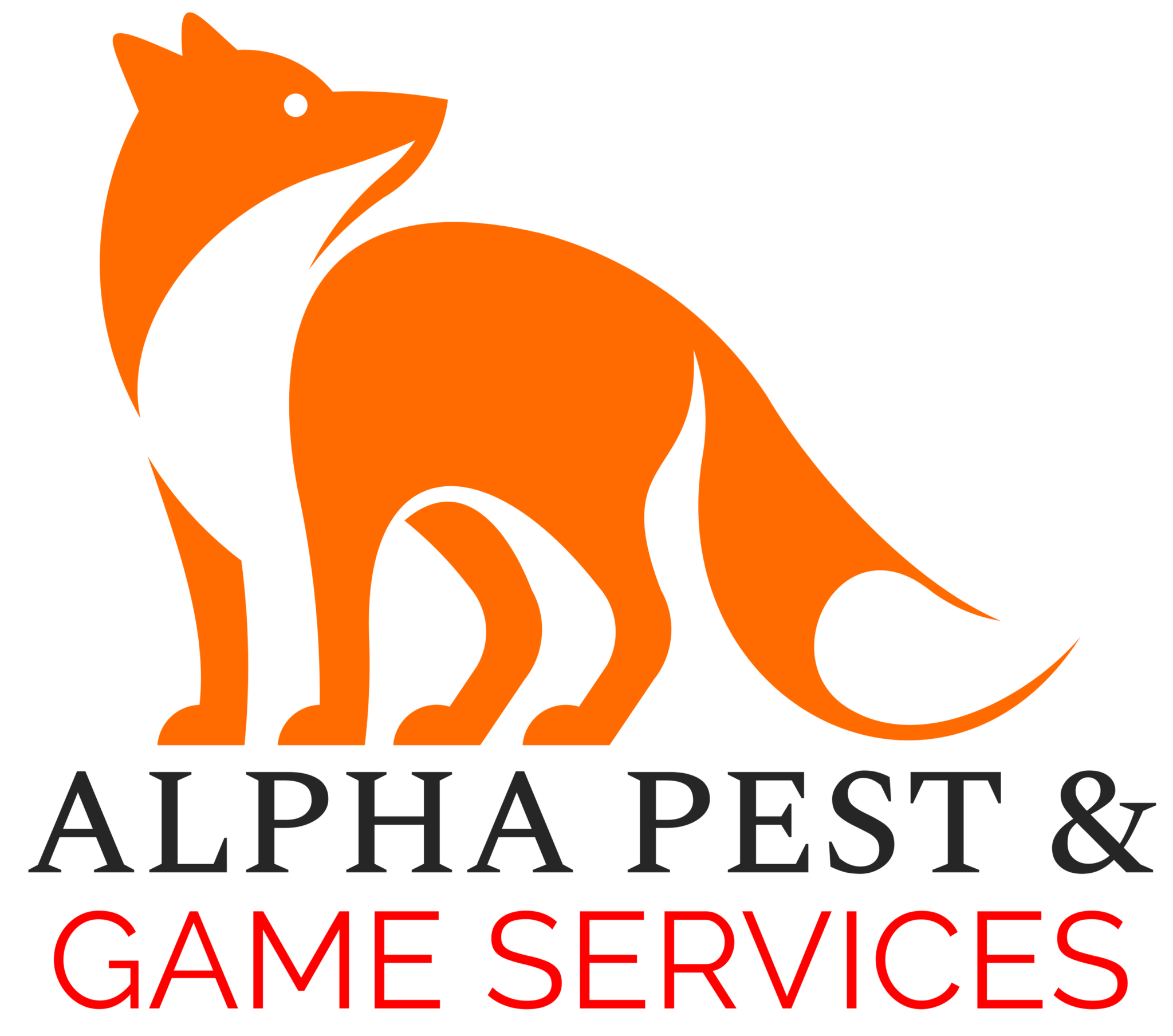 Fox Control Victoria | Effective Fox Trapping & Removal Victoria
